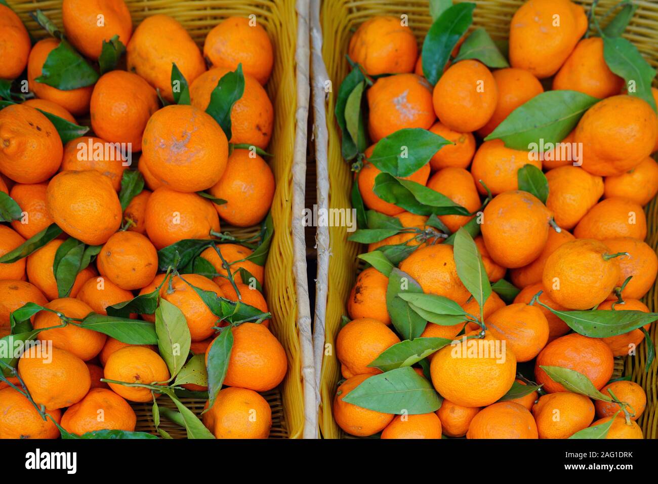 Fresh orange clementines for sale at a farmers market in Australia ...