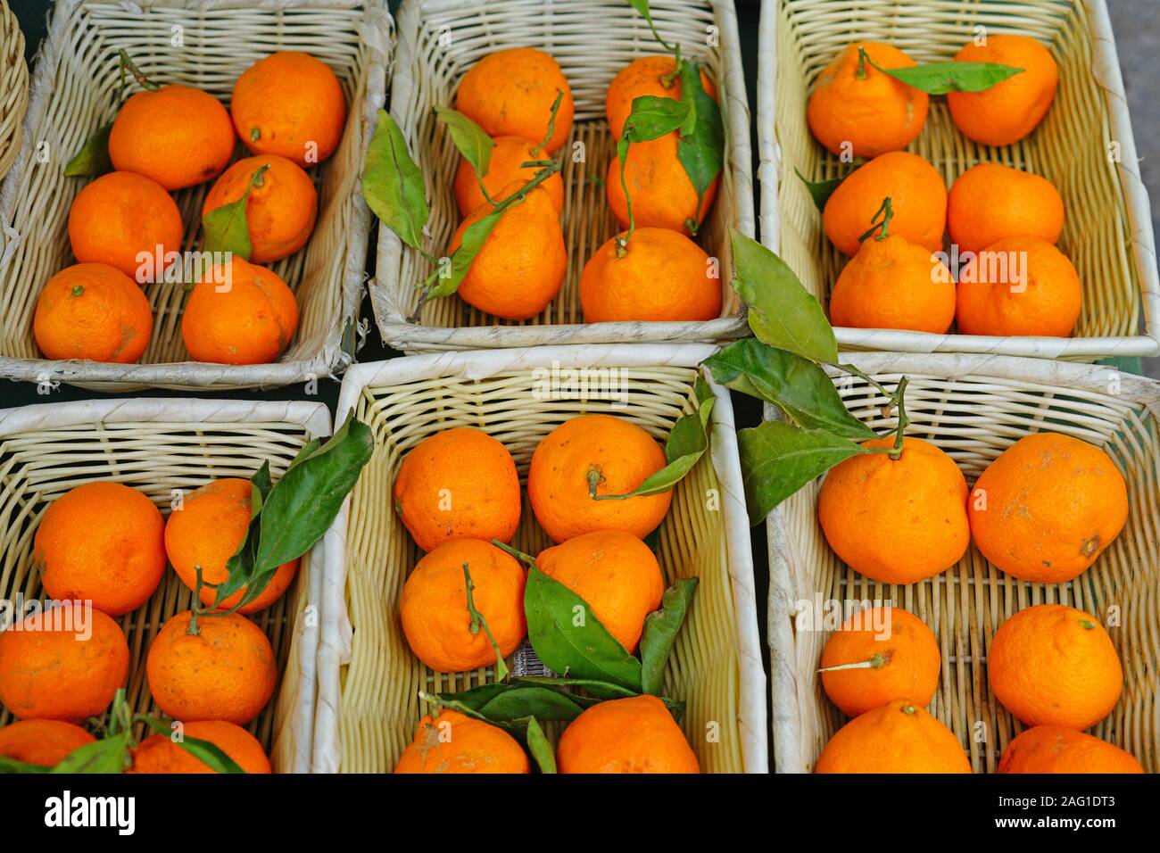 Fresh orange clementines for sale at a farmers market in Australia ...