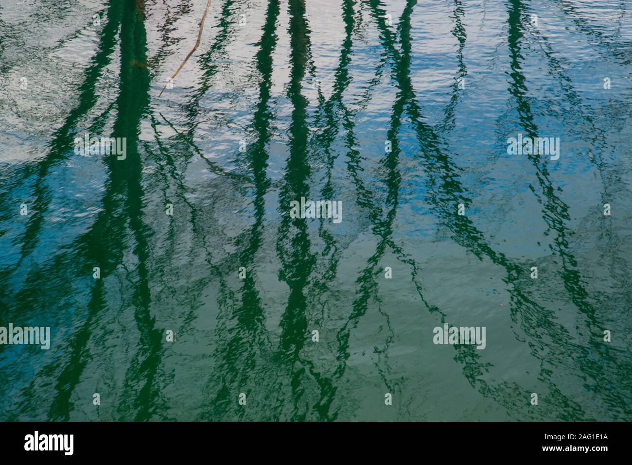 Trees reflection on water Stock Photo - Alamy