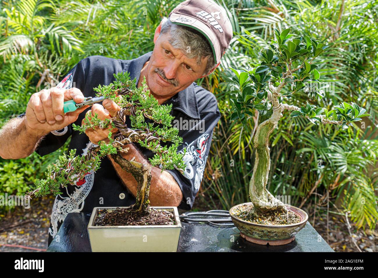 Miami Florida,MacArthur Causeway,Ichimura Japanese Garden,Haru Matsuri ...