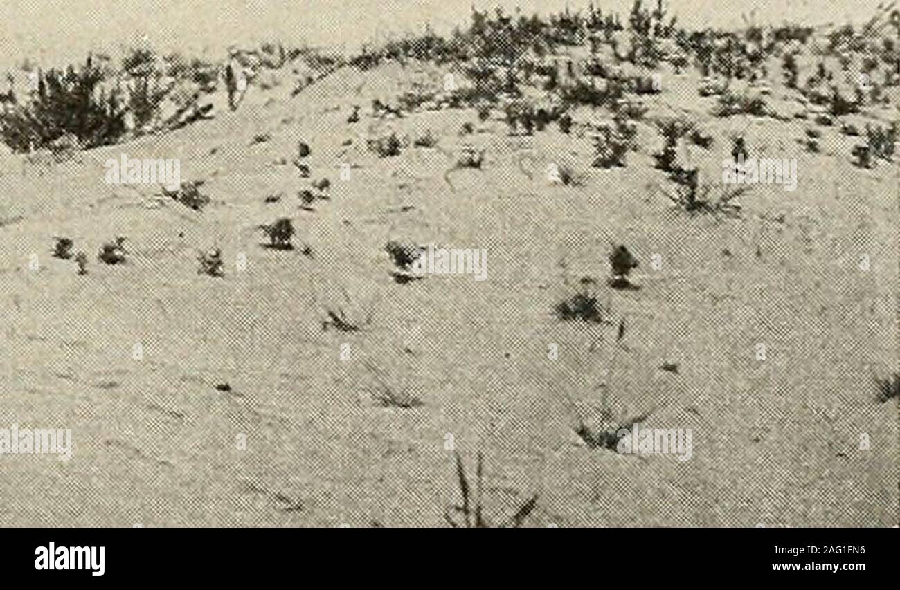 Scrubby areas hi-res stock photography and images - Alamy