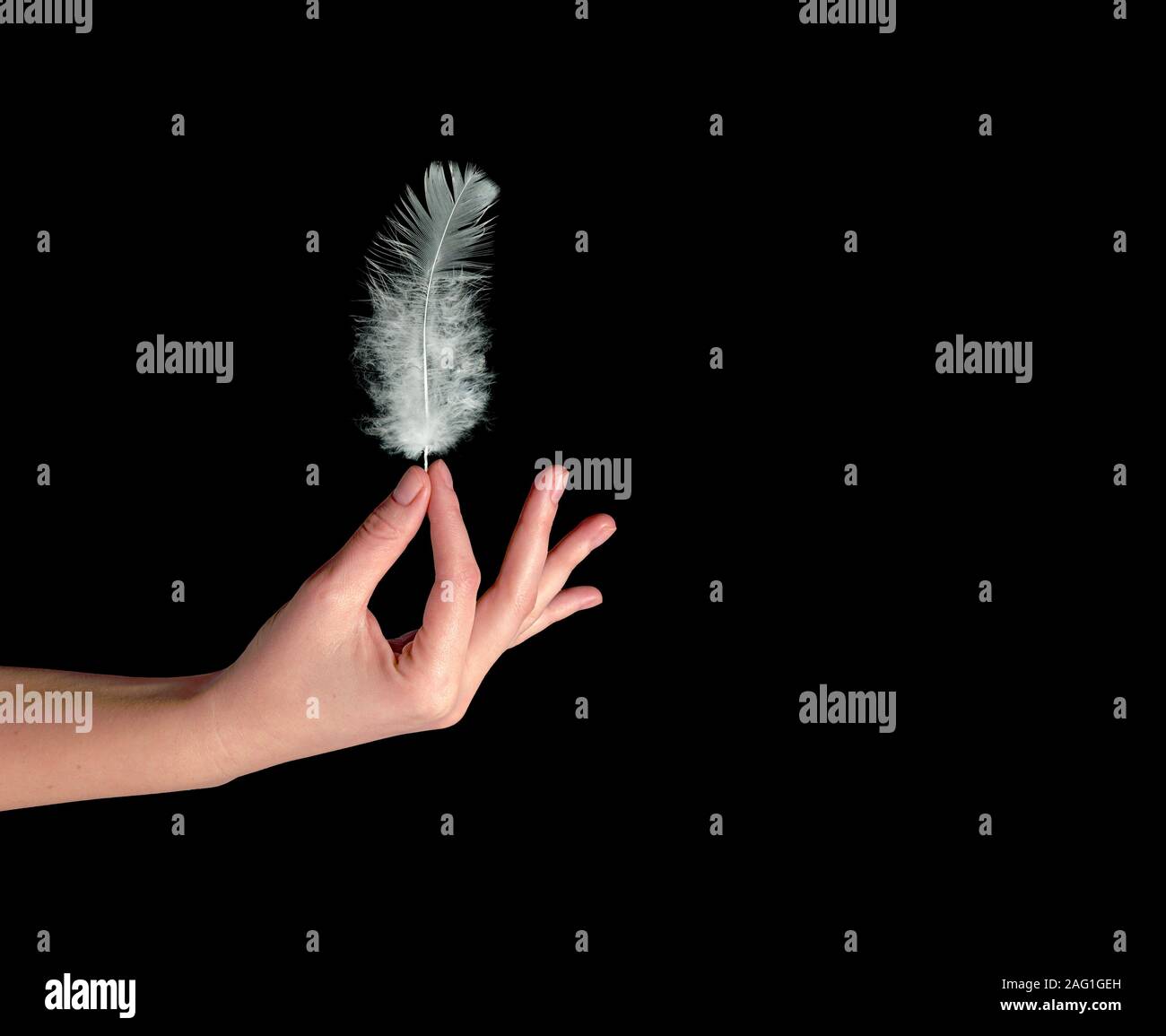 Close up of white feather in hand Stock Photo - Alamy