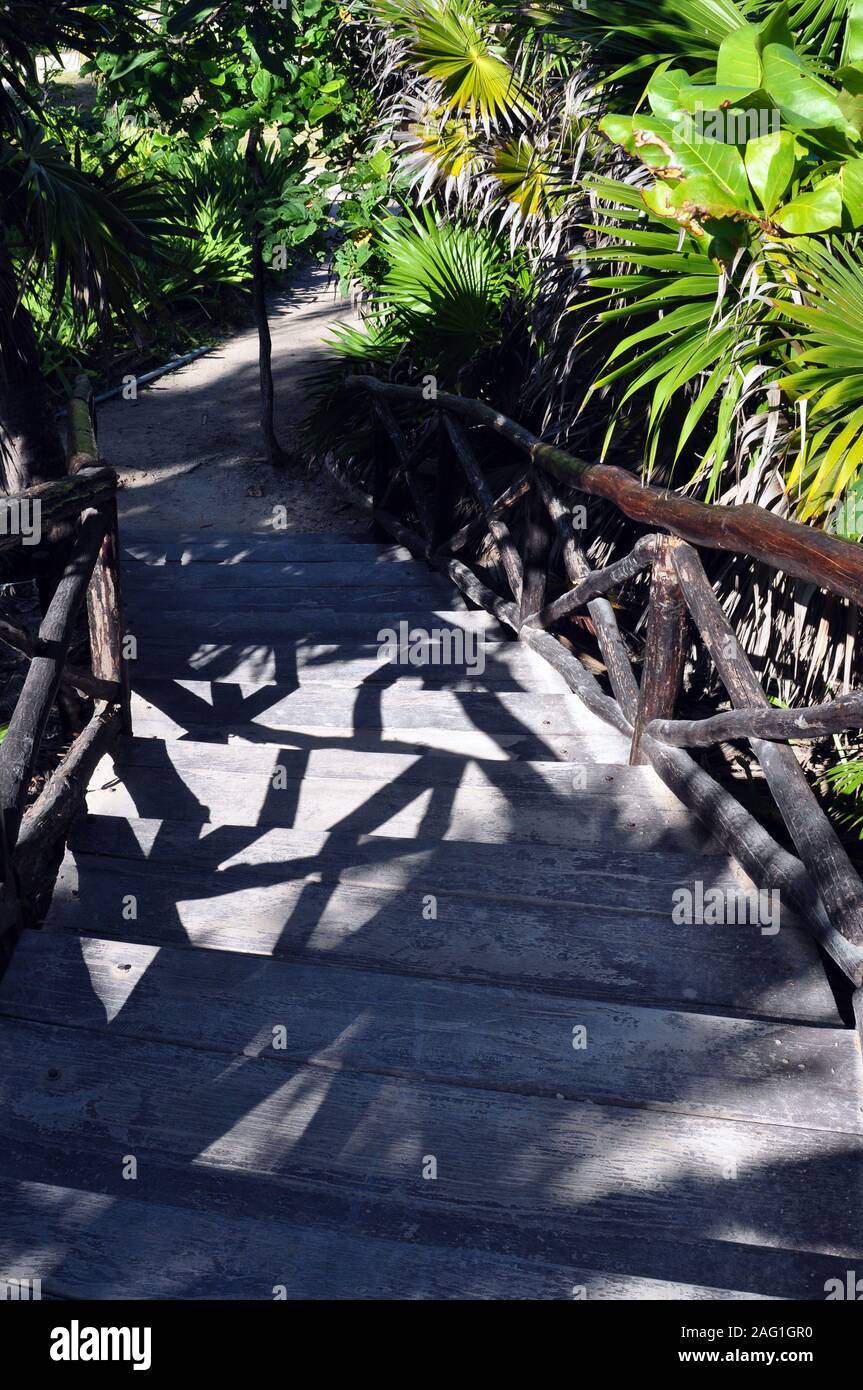 Wooden Stairs that are part of the Trail at the Mayan Ruins in Tulum ...