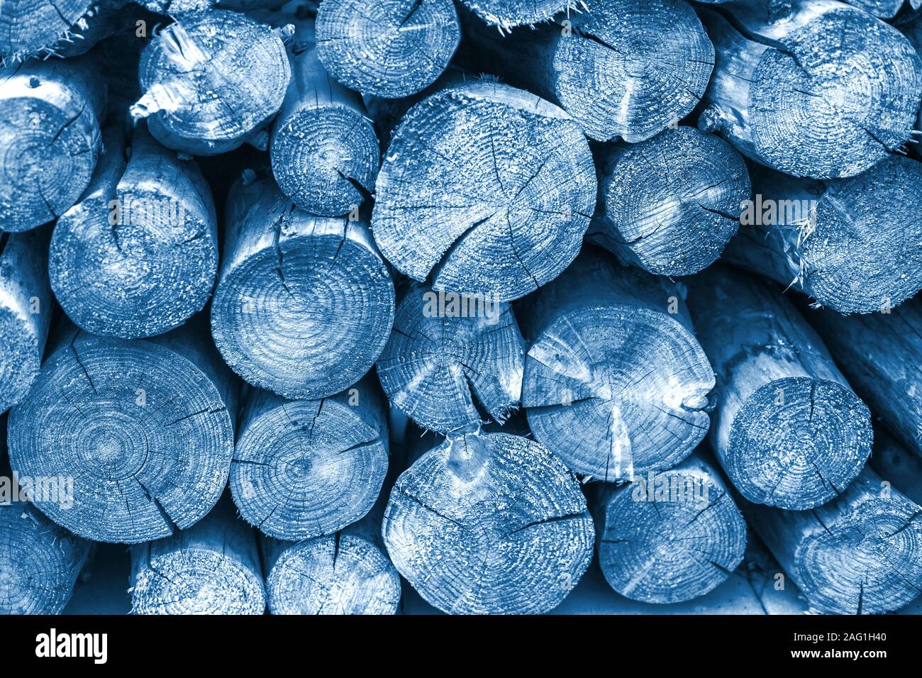 Big pile of wooden log cuts blue toned background. Color of the year ...