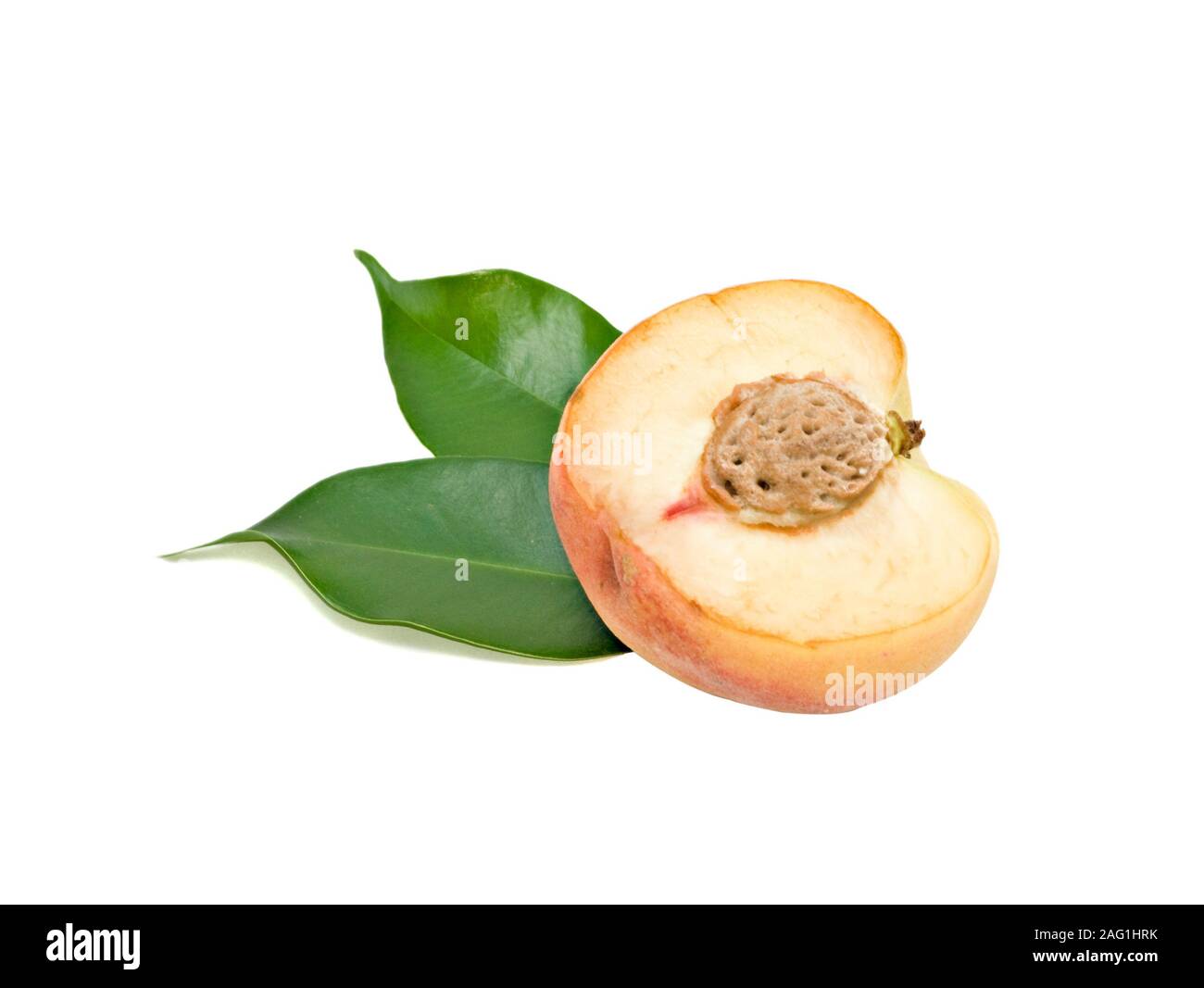 Peach section isolated on white background Stock Photo - Alamy