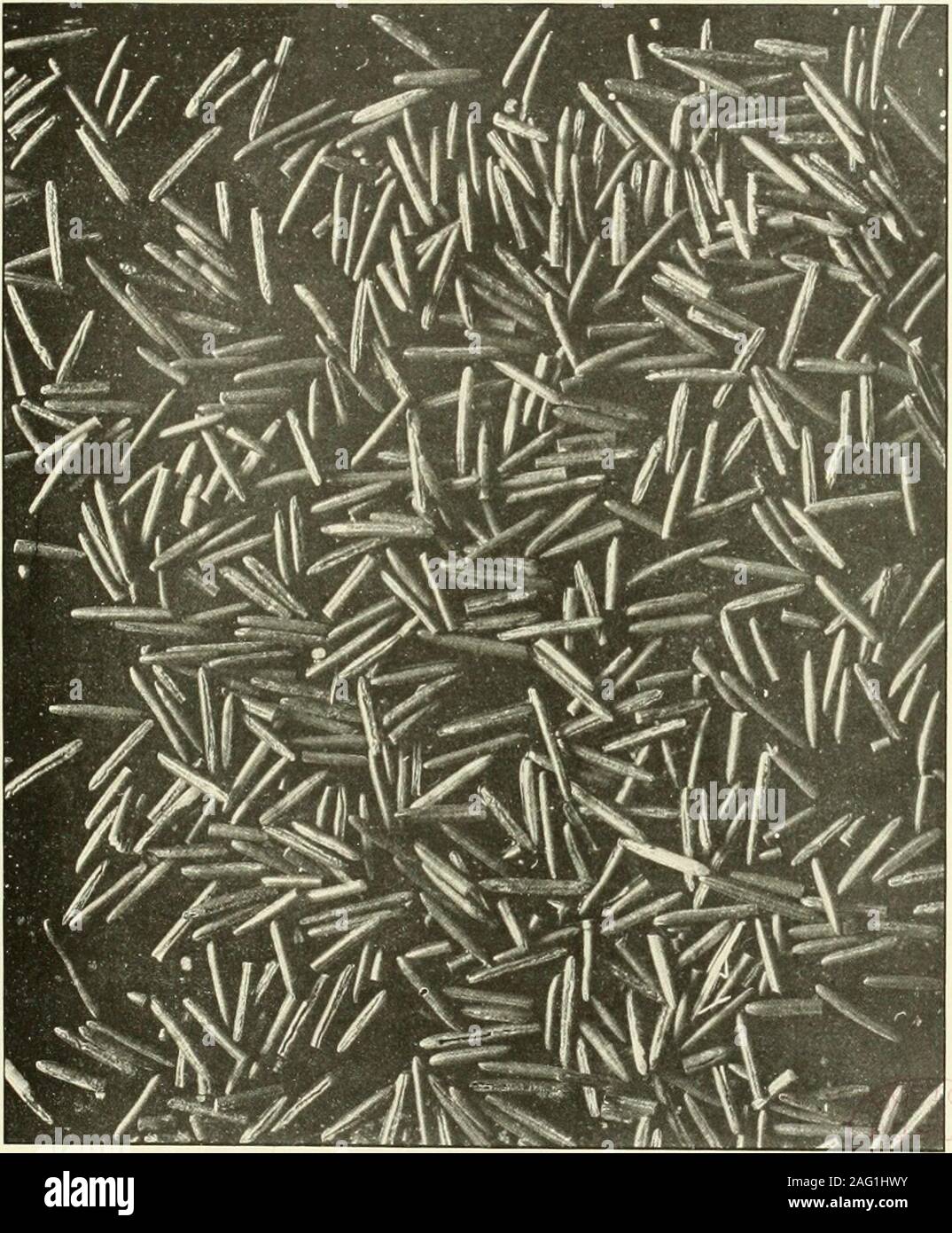 Ann sacks hi-res stock photography and images - Alamy