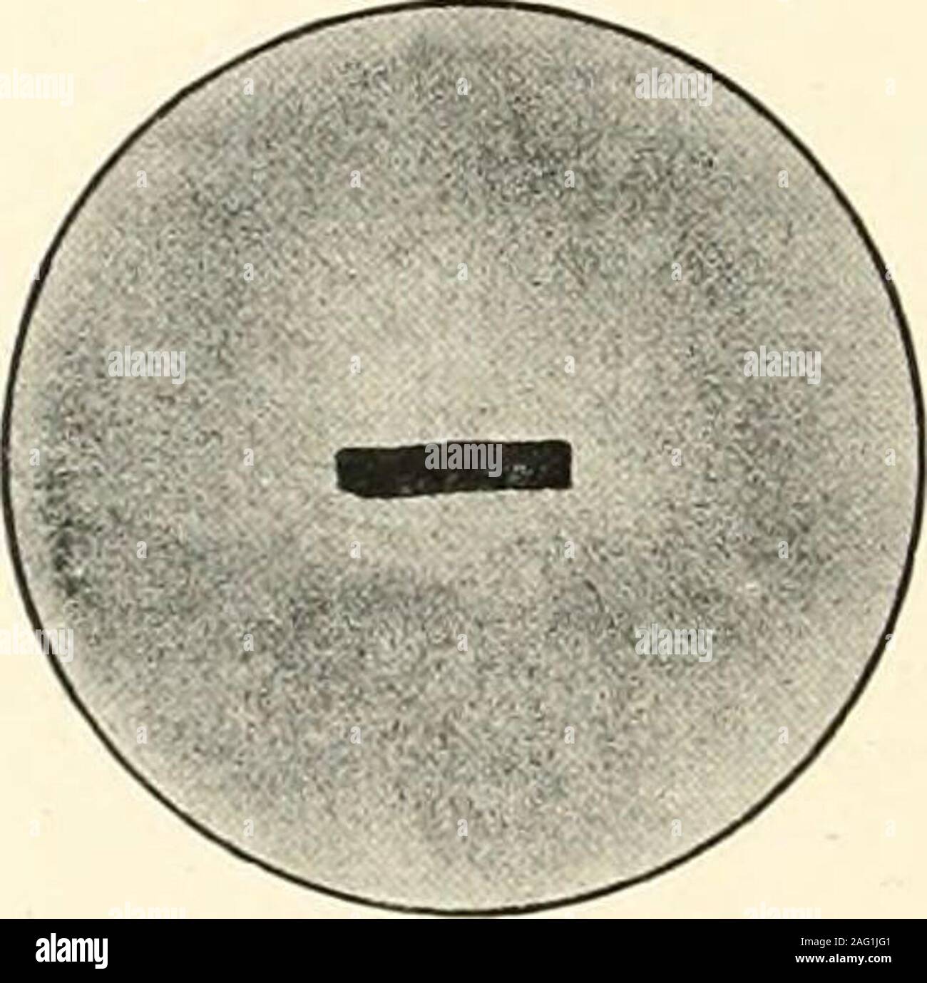 . The science and practice of dental surgery. Copper Amalgam. True-dent ...