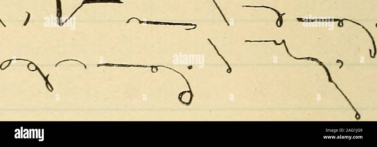 Shorthand instructor hi-res stock photography and images - Alamy