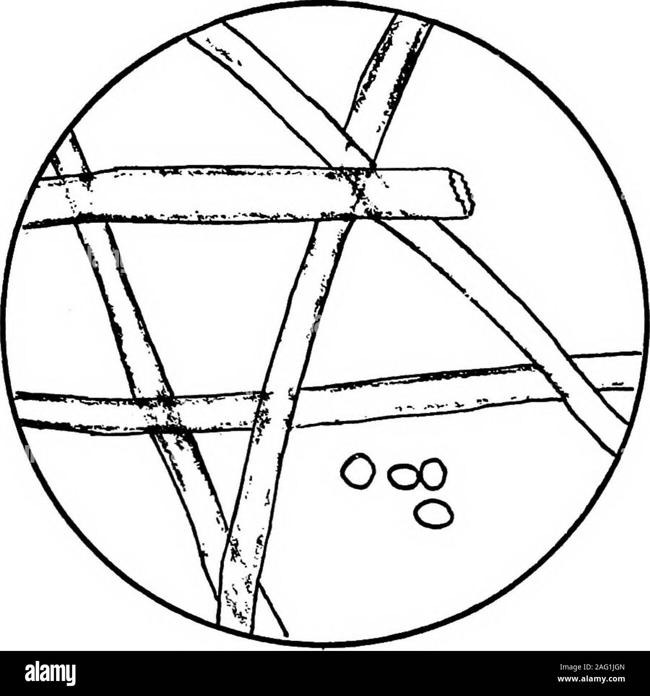 Cellulose fabrics Black and White Stock Photos & Images - Alamy