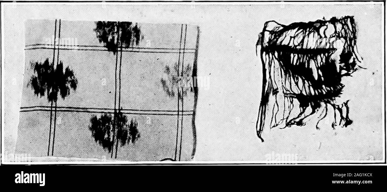 Weighted silks hi-res stock photography and images - Alamy