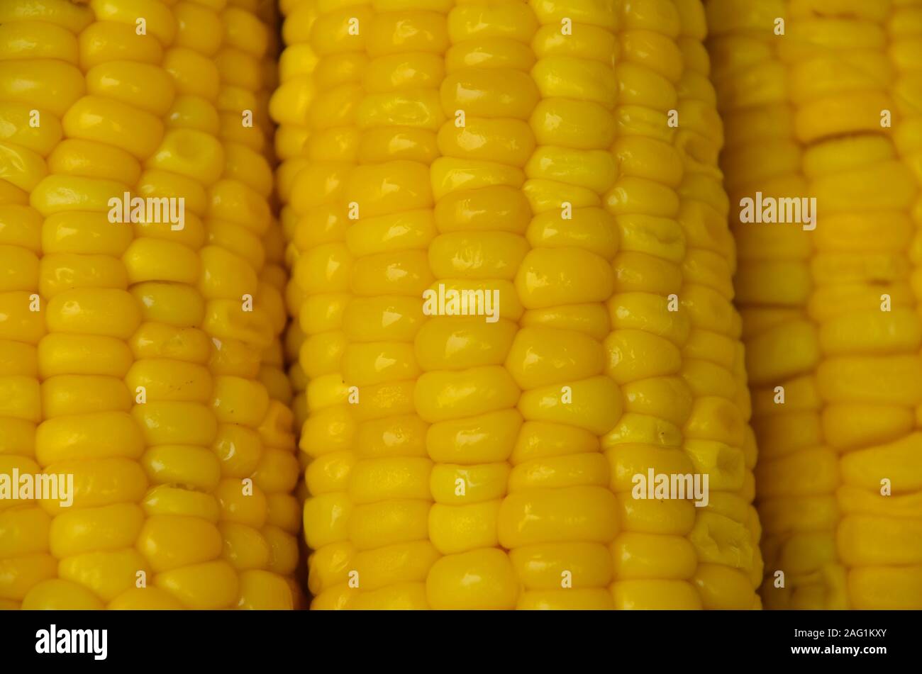 Background yellow boiled corn texture Stock Photo - Alamy