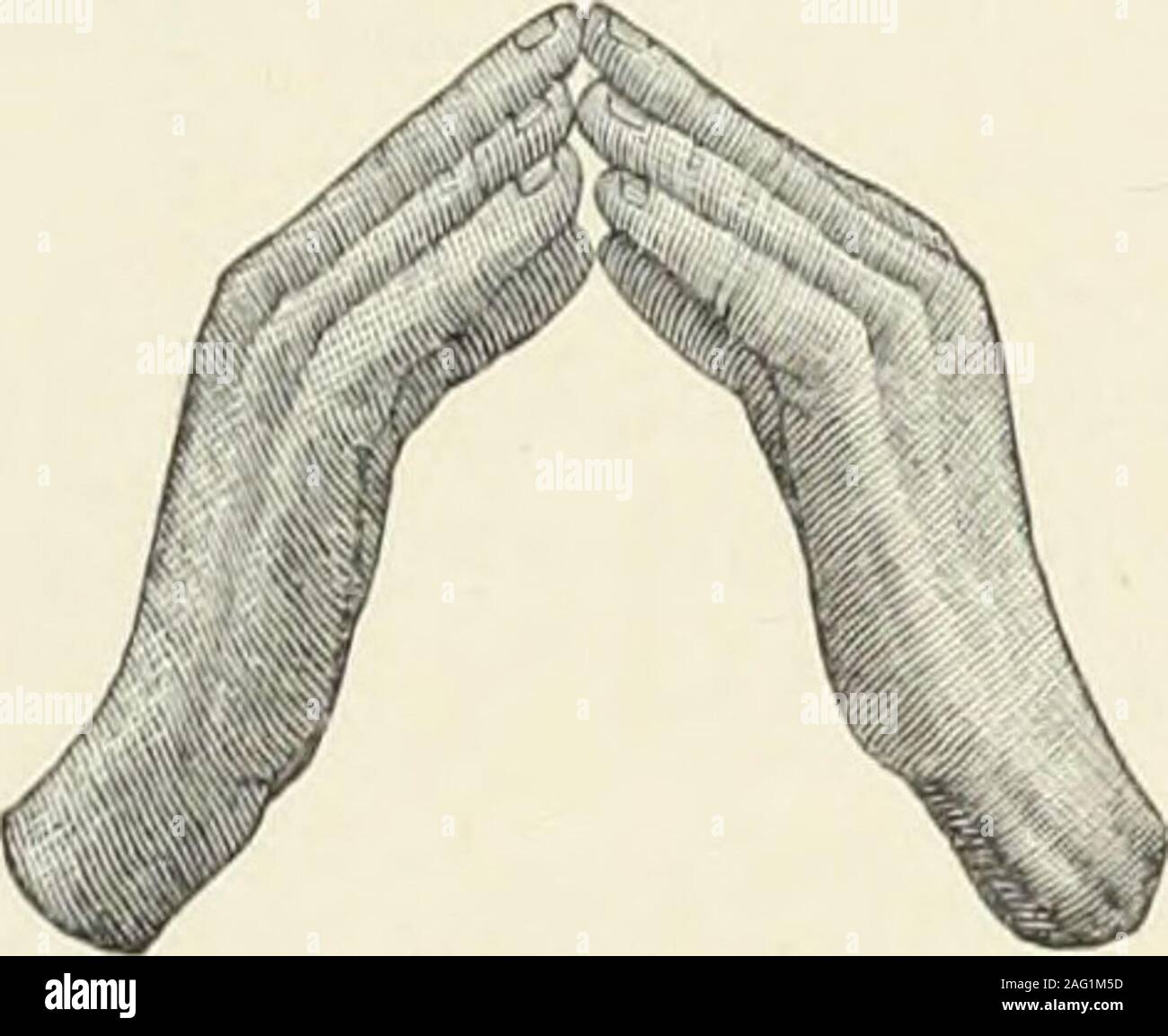 Sahaptin hi-res stock photography and images - Alamy