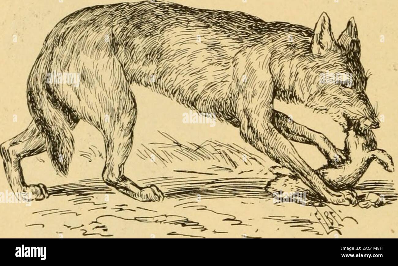 Forty foot pool hi-res stock photography and images - Alamy