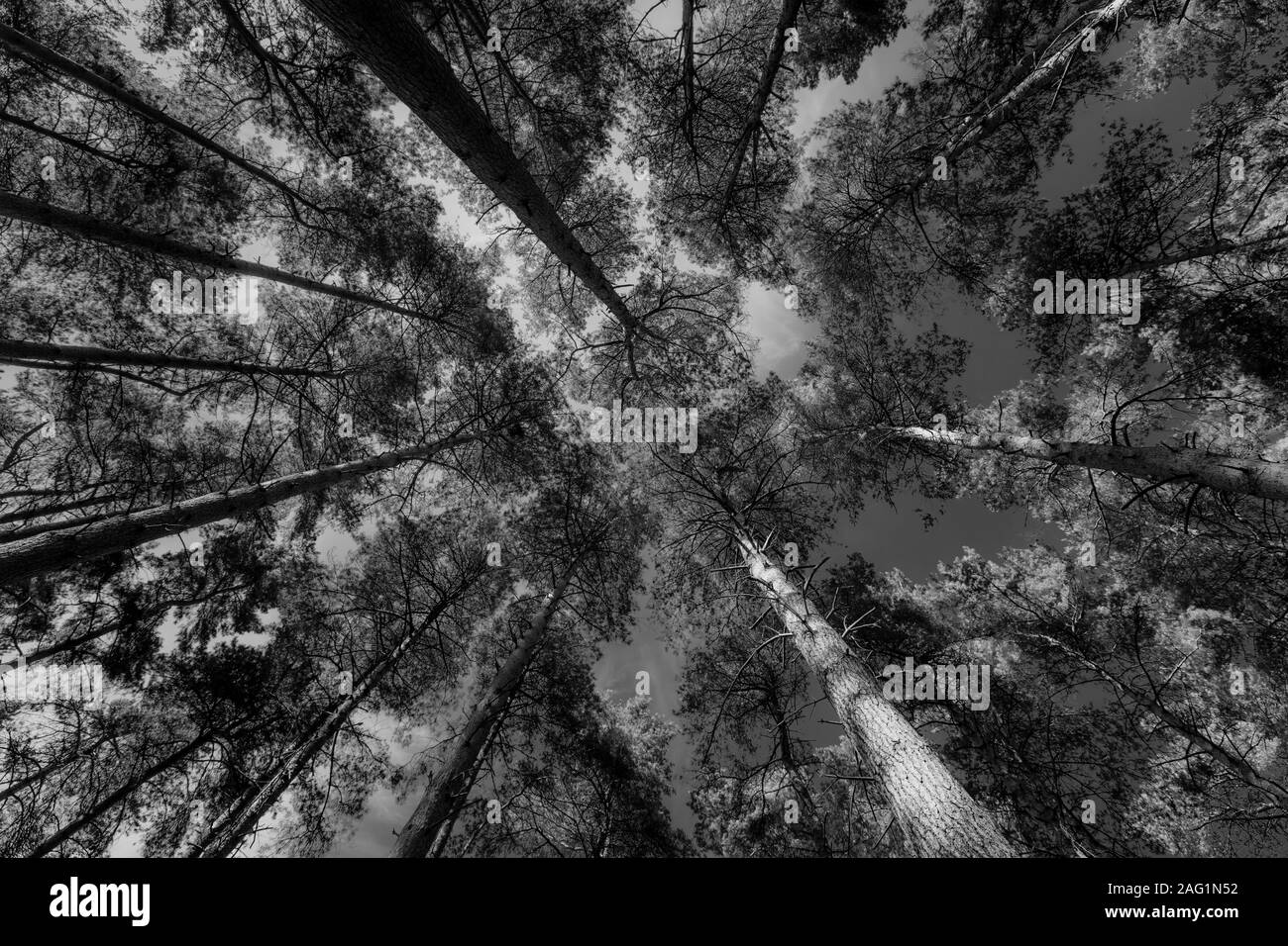 Lincolnshire Wolds, East Midlands, UK, May 2019, View of the ...