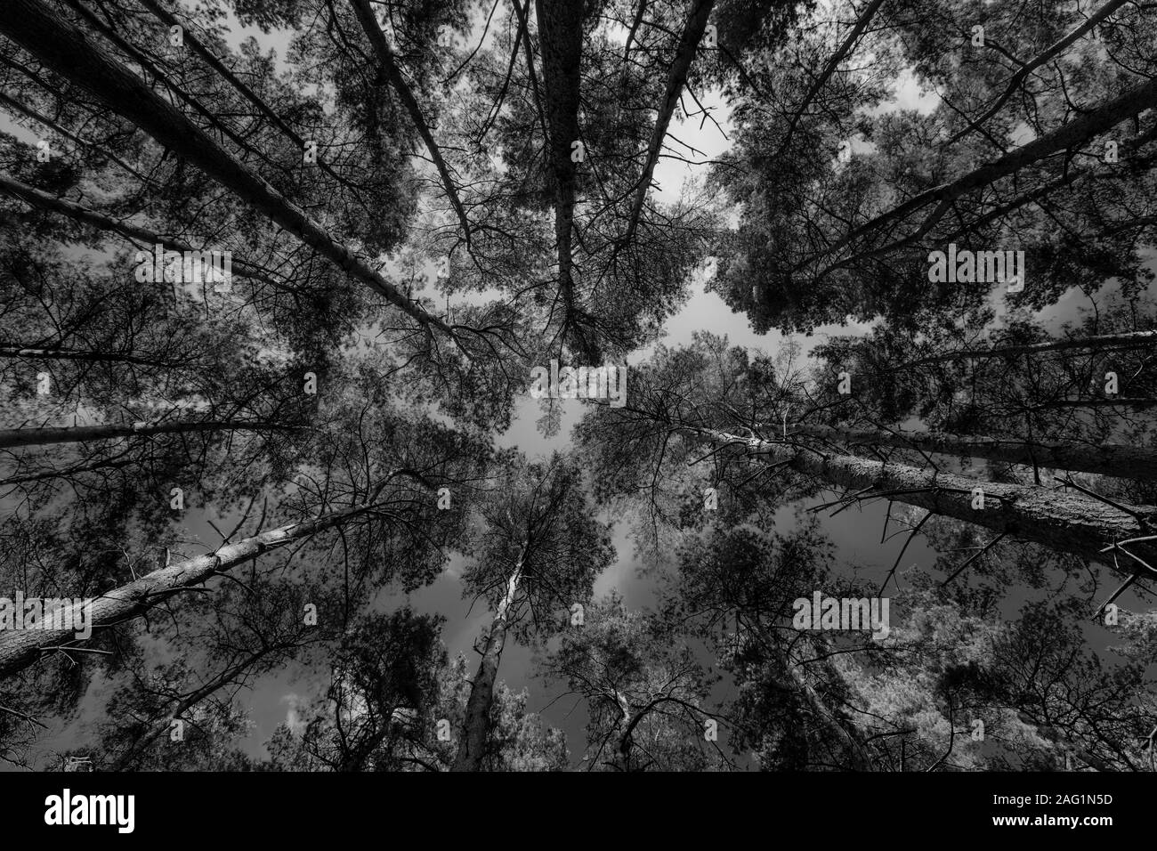 Lincolnshire Wolds, East Midlands, UK, May 2019, View of the ...