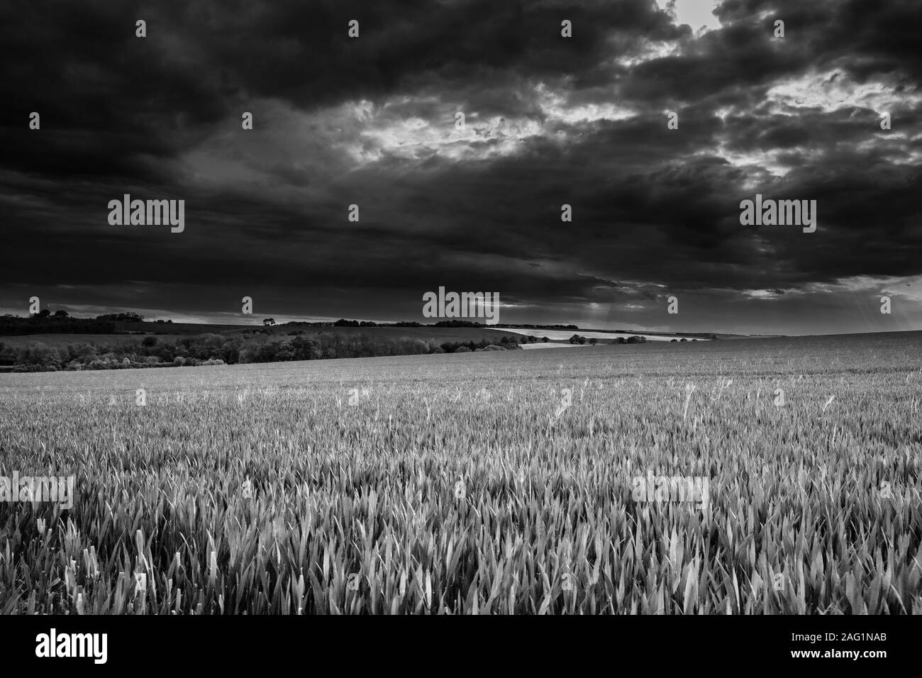 Countryside uk may fields Black and White Stock Photos & Images - Alamy