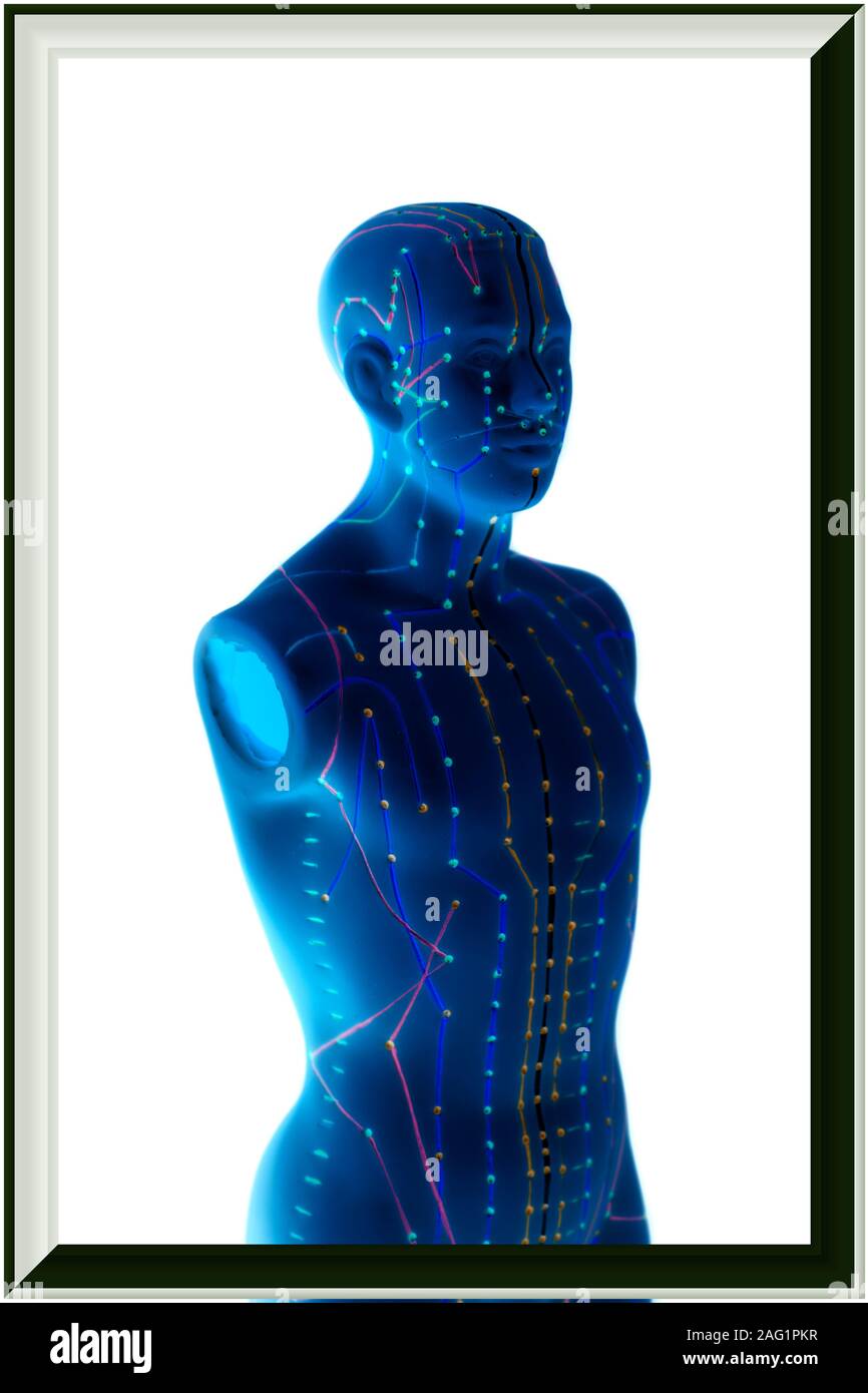 Medical acupuncture model of human Stock Photo - Alamy