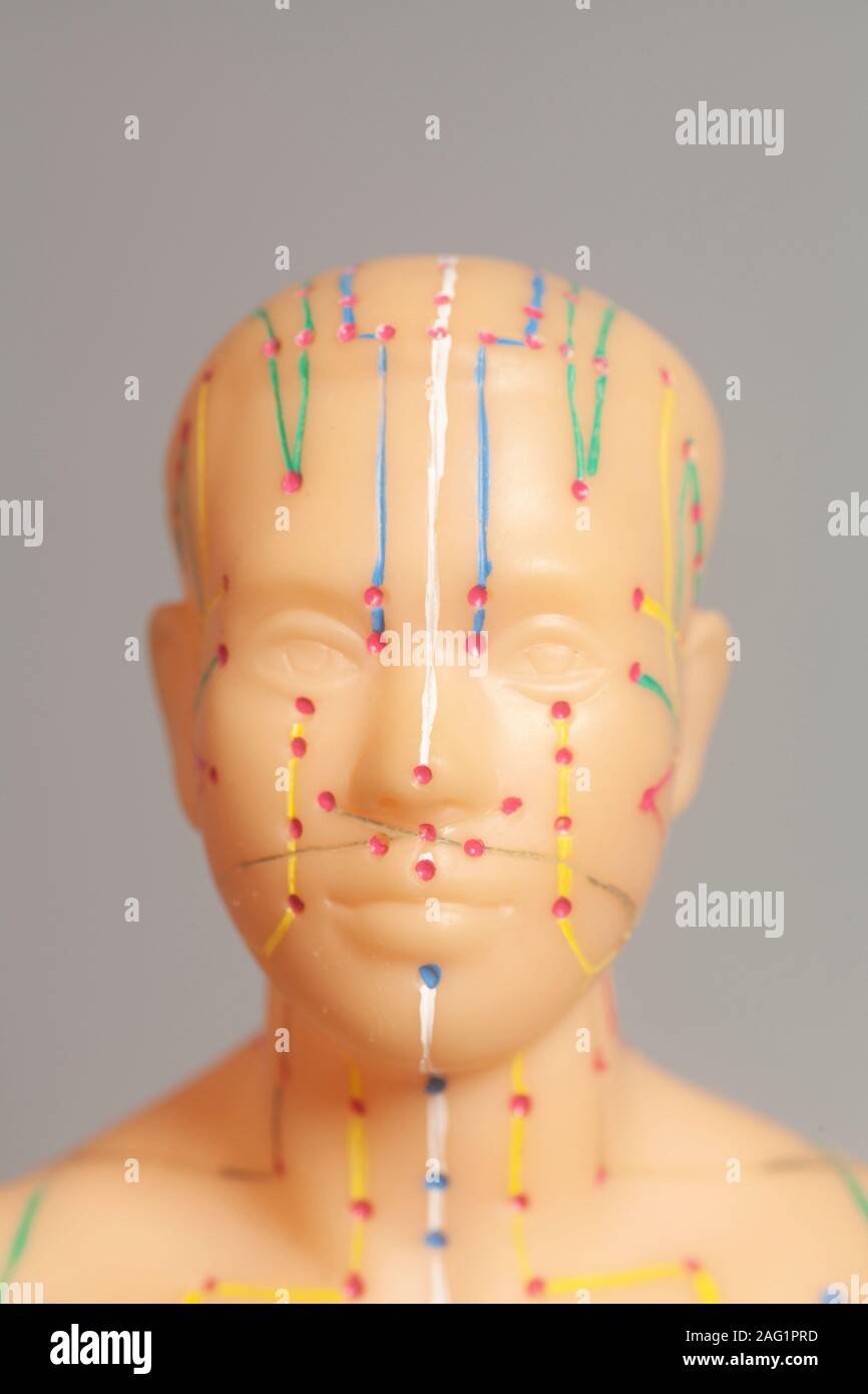 Medical acupuncture model of human Stock Photo - Alamy