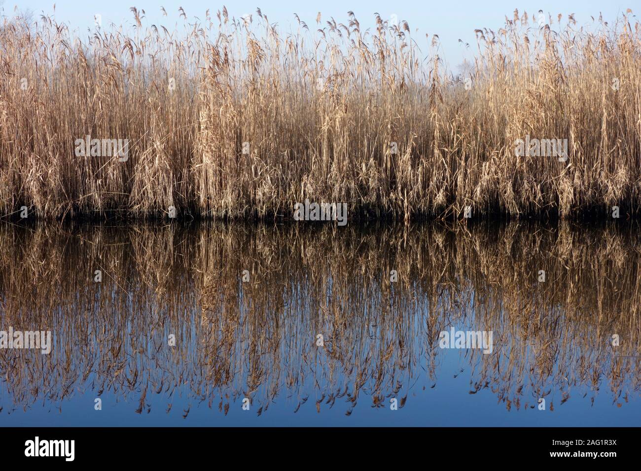 Norfolk Broads The River Ant High Resolution Stock Photography and ...