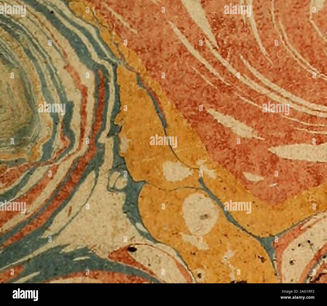 Morgagni hi-res stock photography and images - Alamy