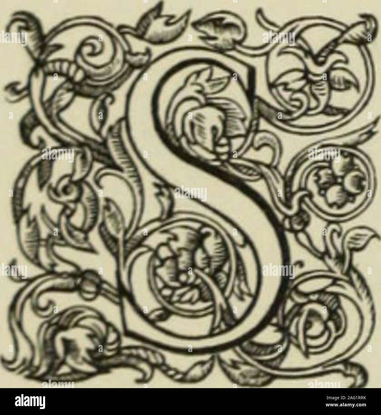 Elizabeth harpur hi-res stock photography and images - Alamy