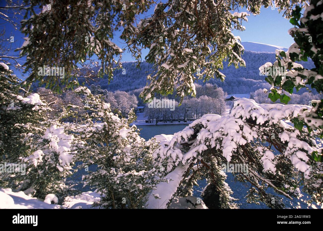 Lac de Laffrey under the snow Isère Stock Photo - Alamy