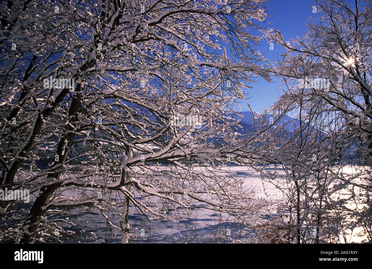 Lac de Laffrey under the snow Isère Stock Photo - Alamy