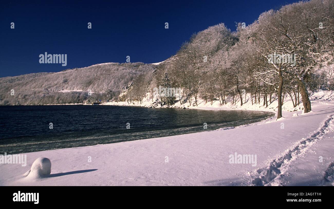 Lac de Laffrey under the snow Isère Stock Photo - Alamy