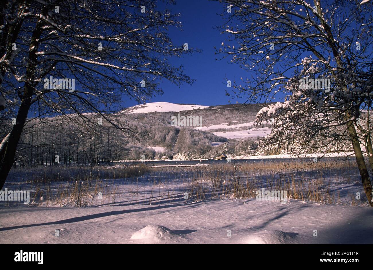 Lac de Laffrey under the snow Isère Stock Photo - Alamy