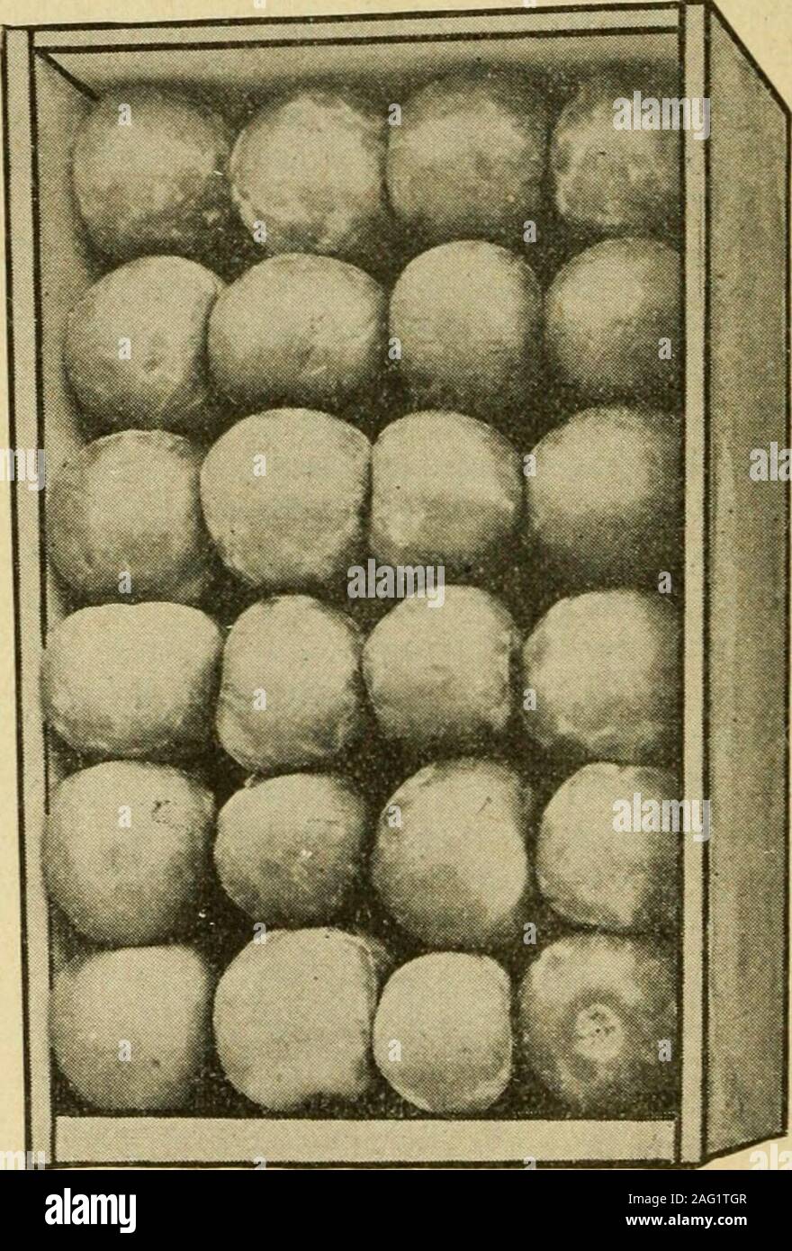 Apples ready to be packed hi-res stock photography and images - Alamy