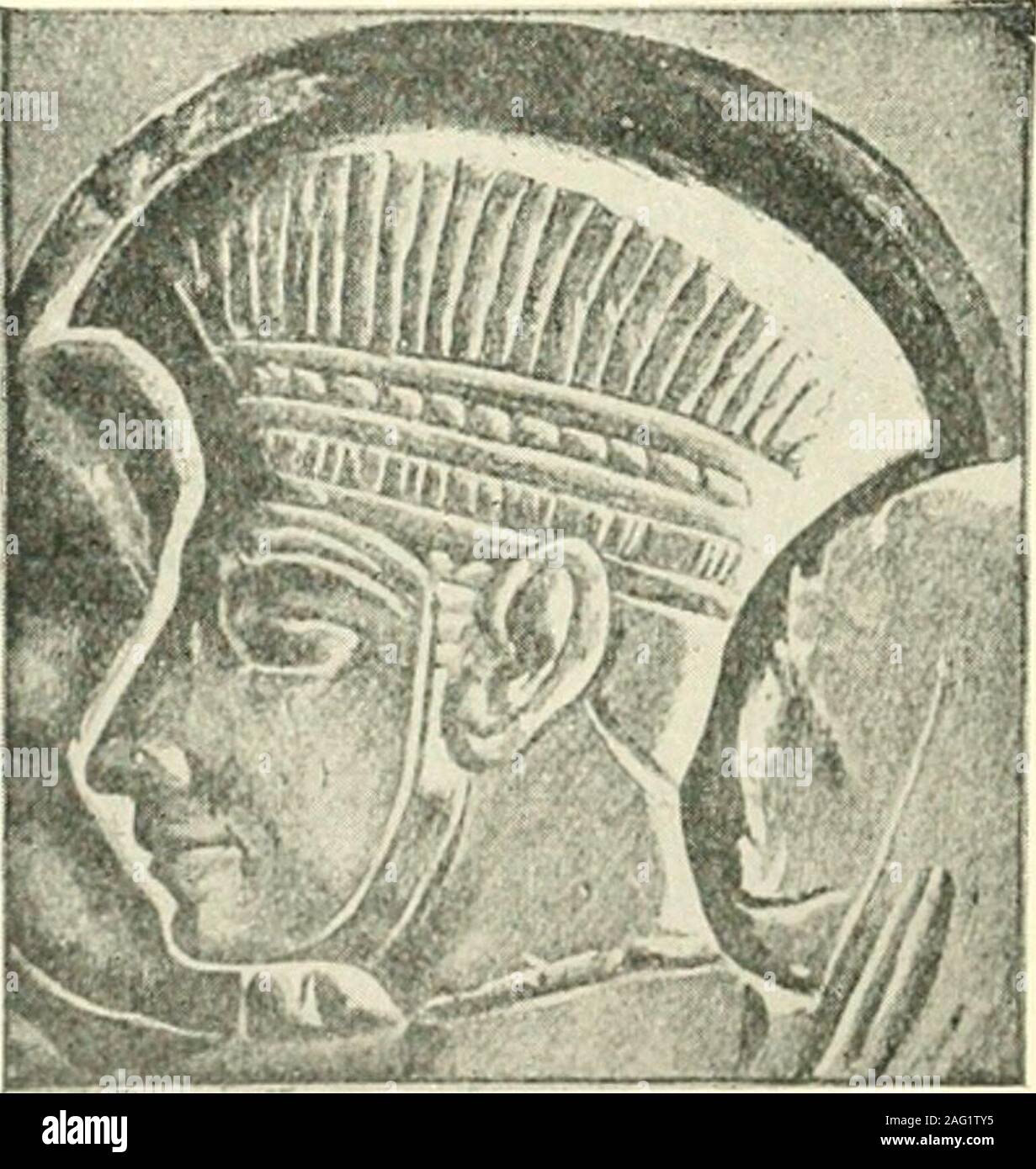 . The Philistines : their history and civilization. Fig. 7. ^^agons of ...