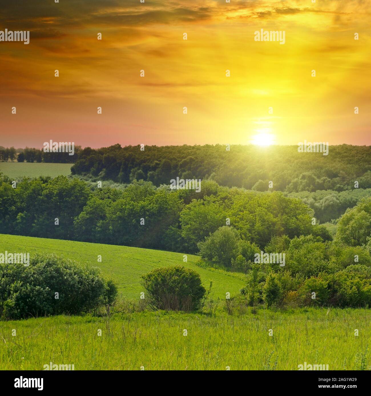 Green fields and a bright sunrise over the horizon. The hills are ...