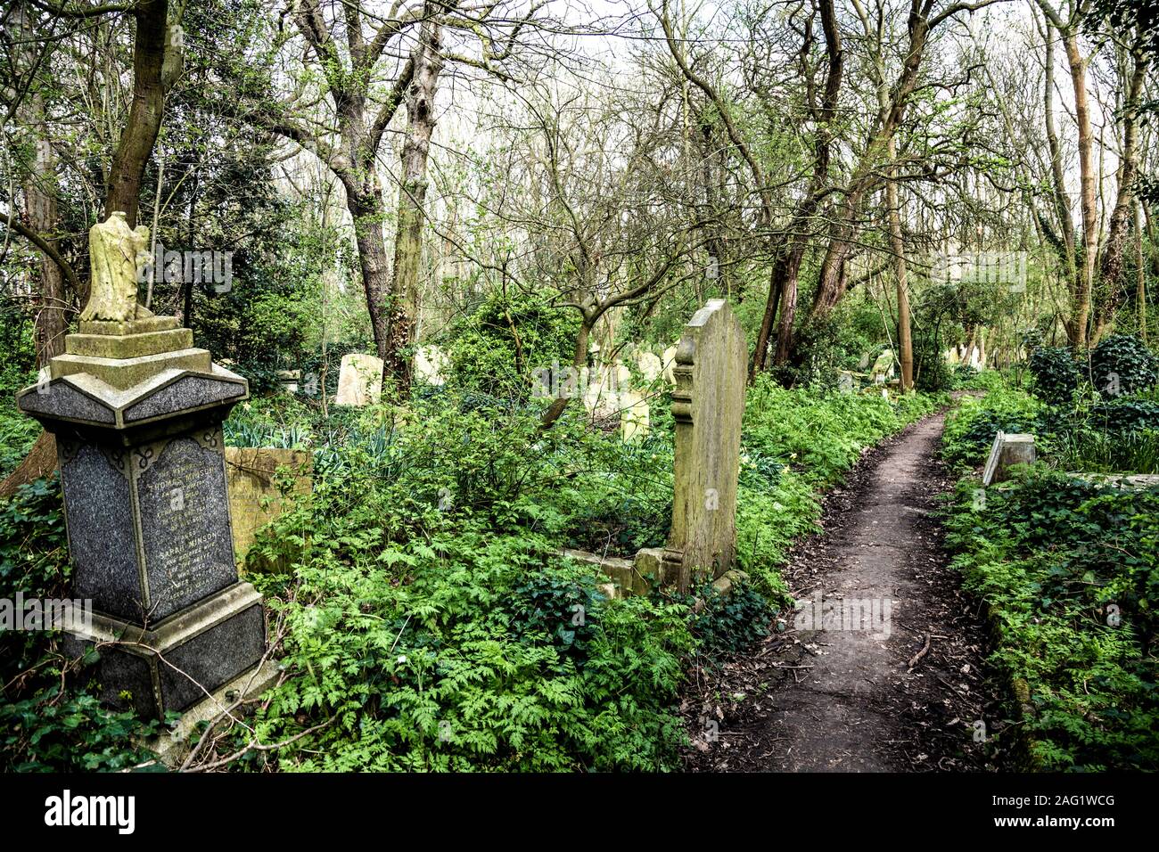 Abney park london cemetery hi-res stock photography and images - Alamy