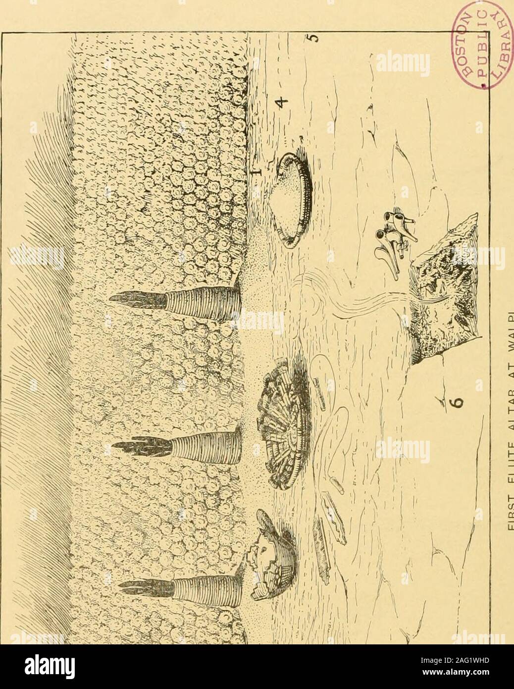 Walpi hi-res stock photography and images - Alamy