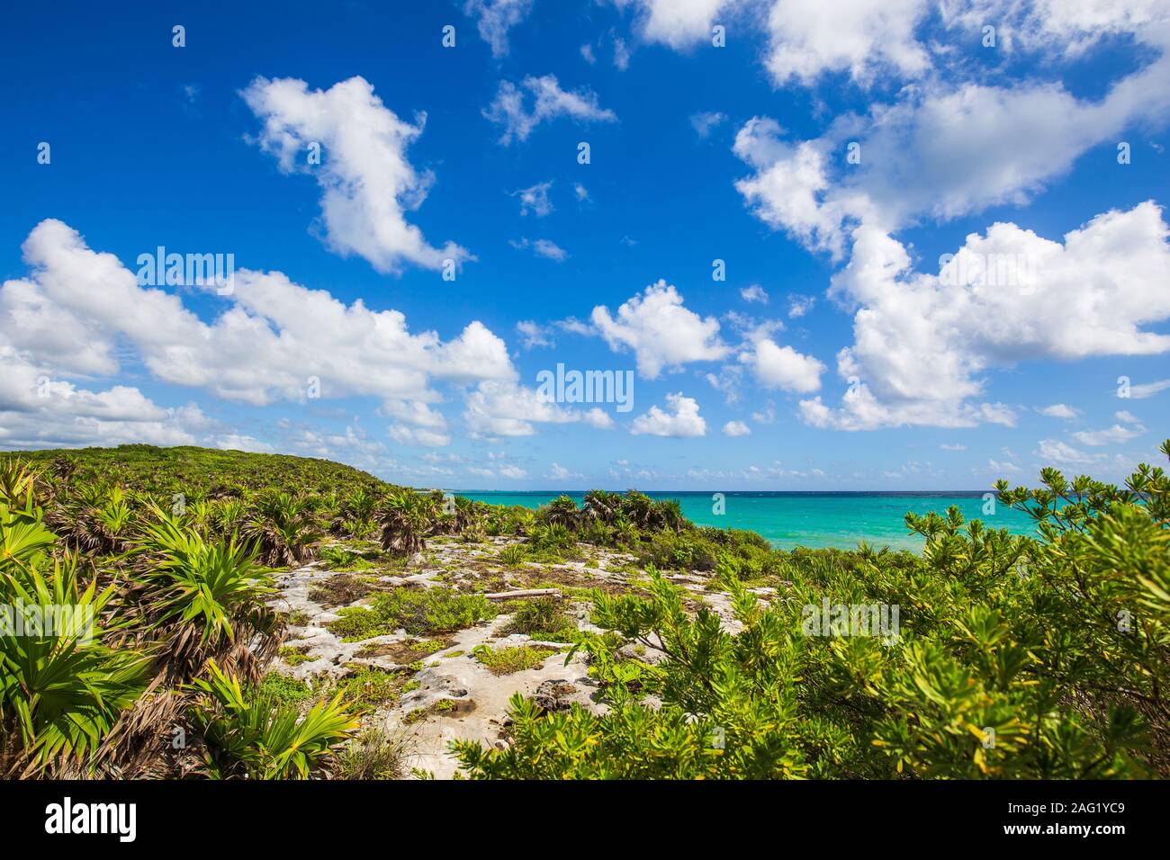 ancient maya ruin at the beach in Tulum, Mexico Stock Photo - Alamy