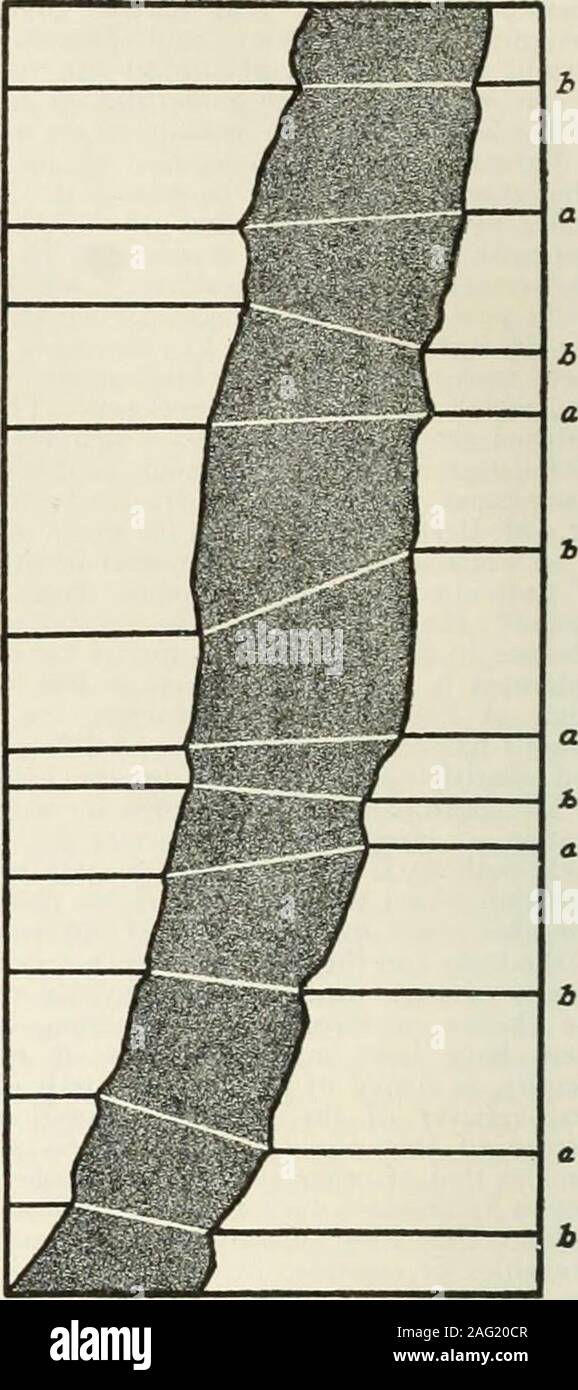 Bookidamericanauni hi-res stock photography and images - Alamy