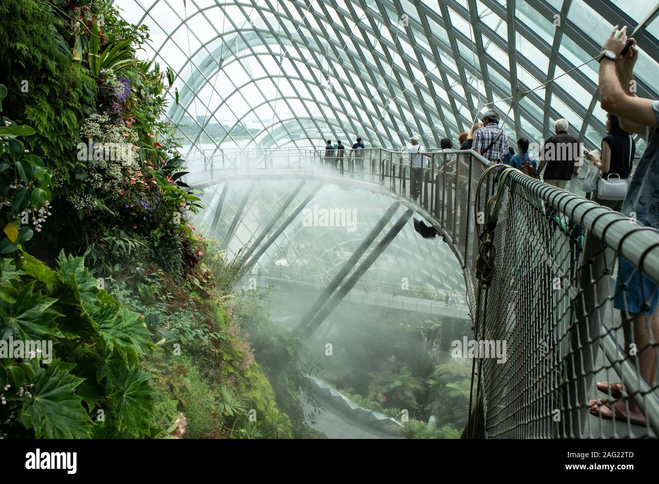 Misting plants hi-res stock photography and images - Alamy