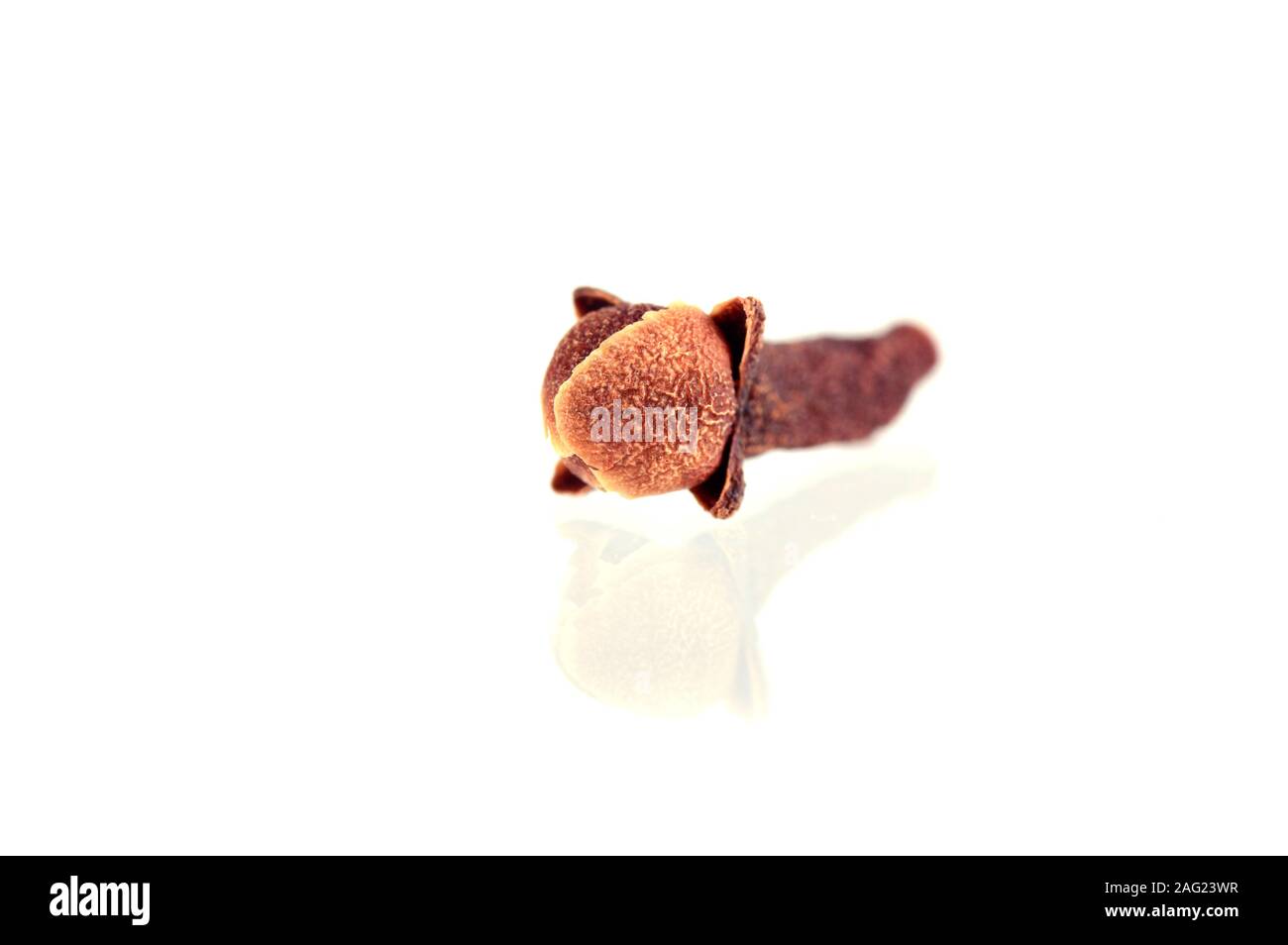 Cloves isolated on white background Stock Photo - Alamy