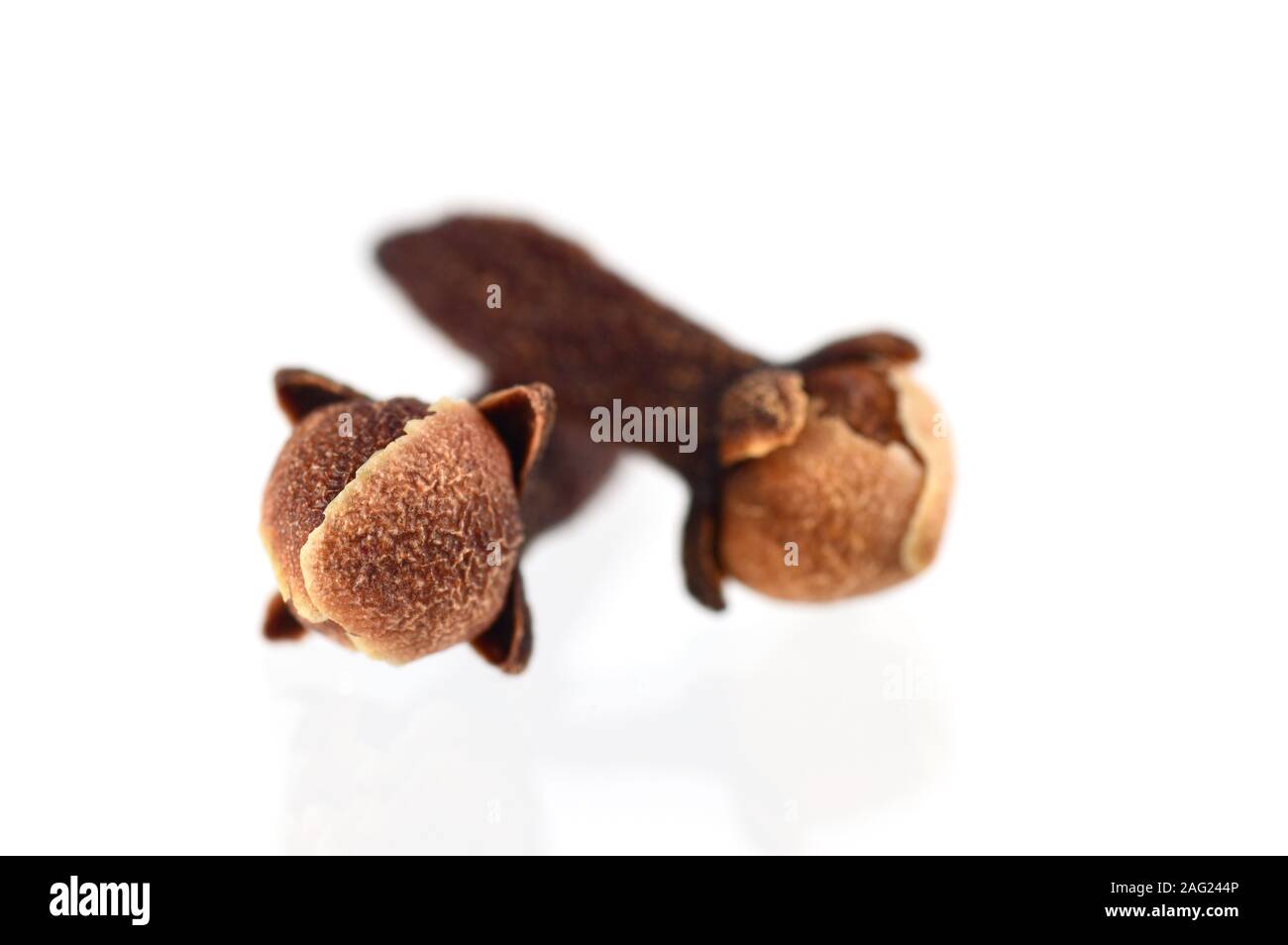 Cloves isolated on white background Stock Photo - Alamy