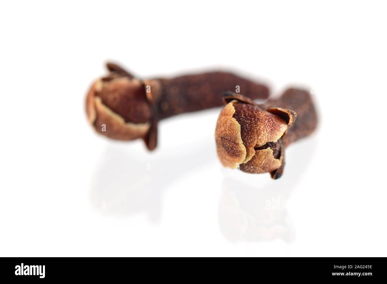 Cloves isolated on white background Stock Photo - Alamy