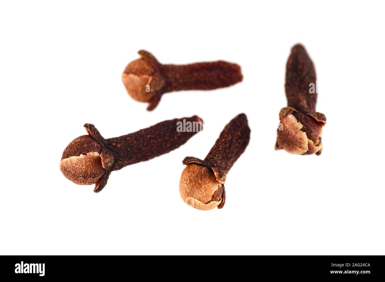Cloves isolated on white background Stock Photo - Alamy