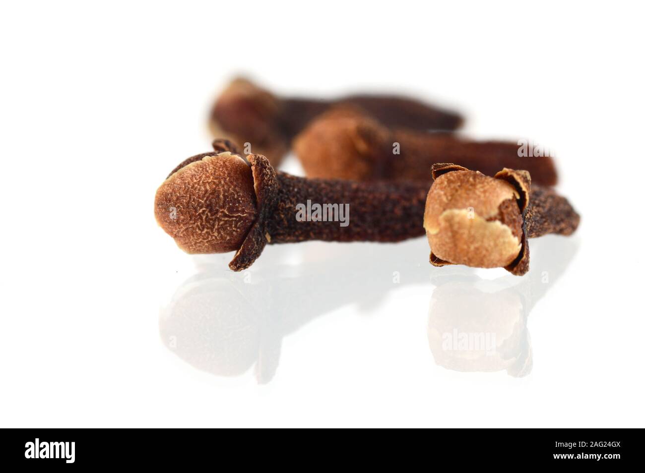 Cloves isolated on white background Stock Photo - Alamy