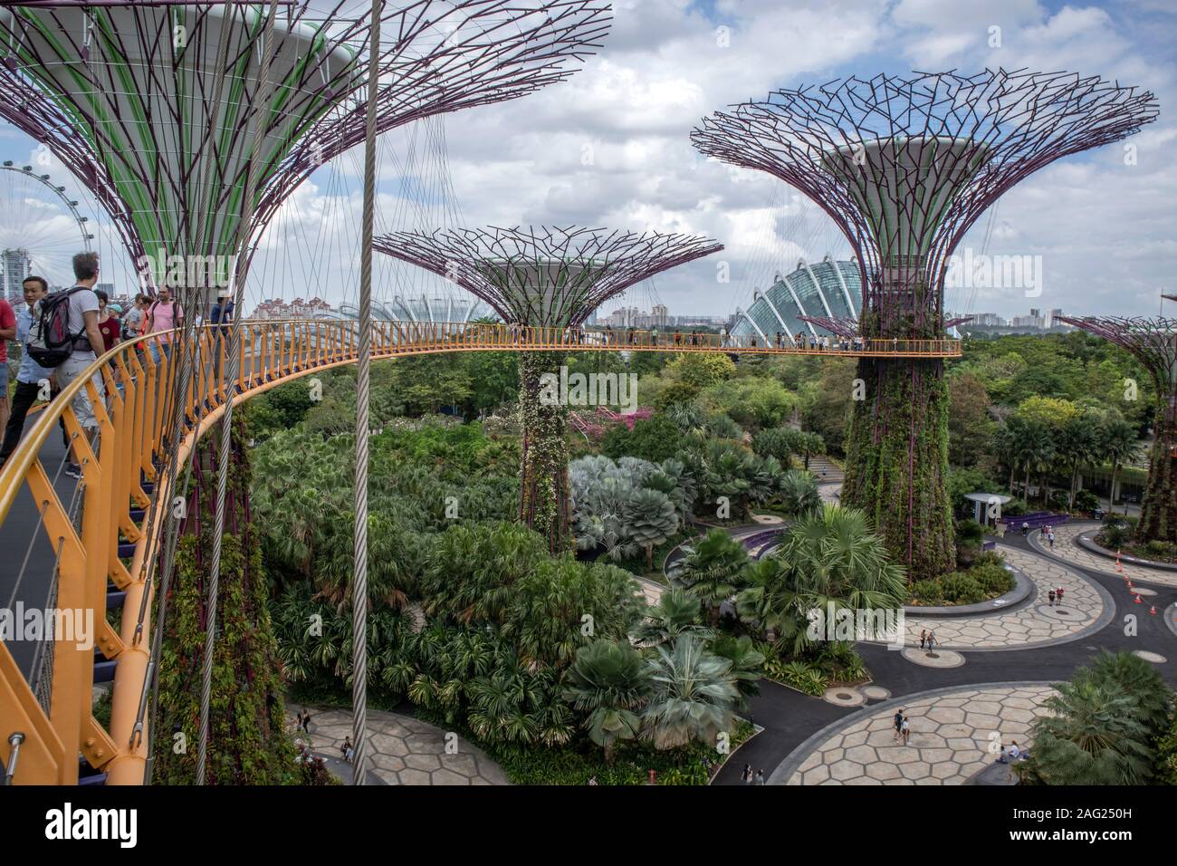 On the overhead walkway ay Gardens in the Bay, Singapore Stock Photo ...