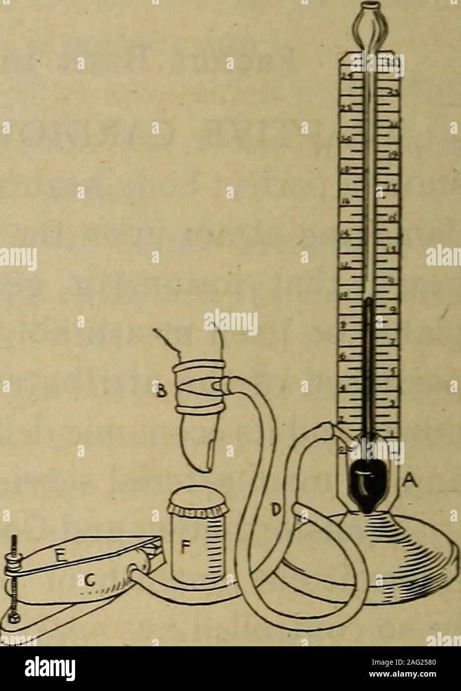 Vasomotor system hi-res stock photography and images - Alamy