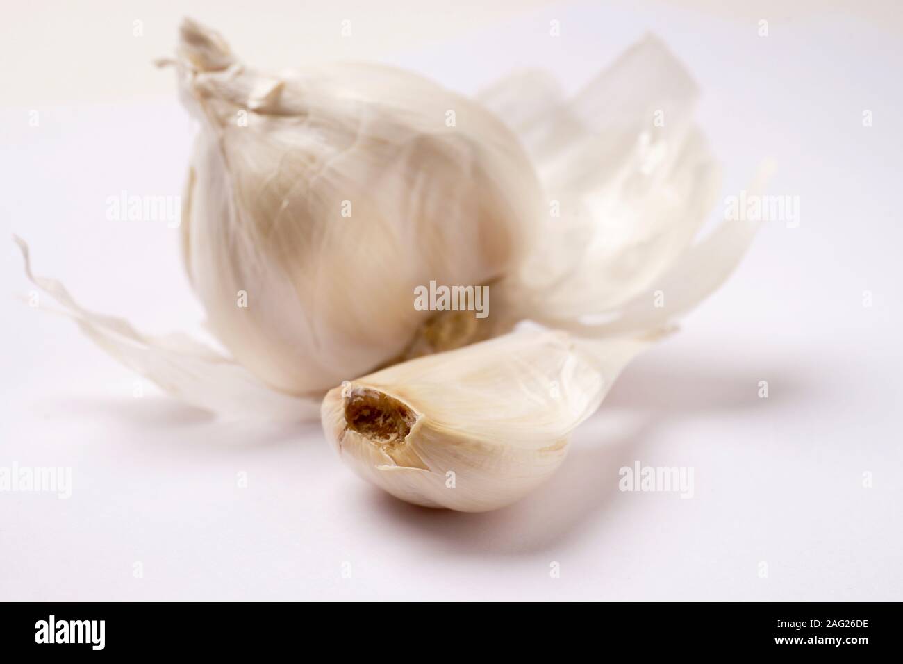 Garlic clove close up against white background Stock Photo - Alamy