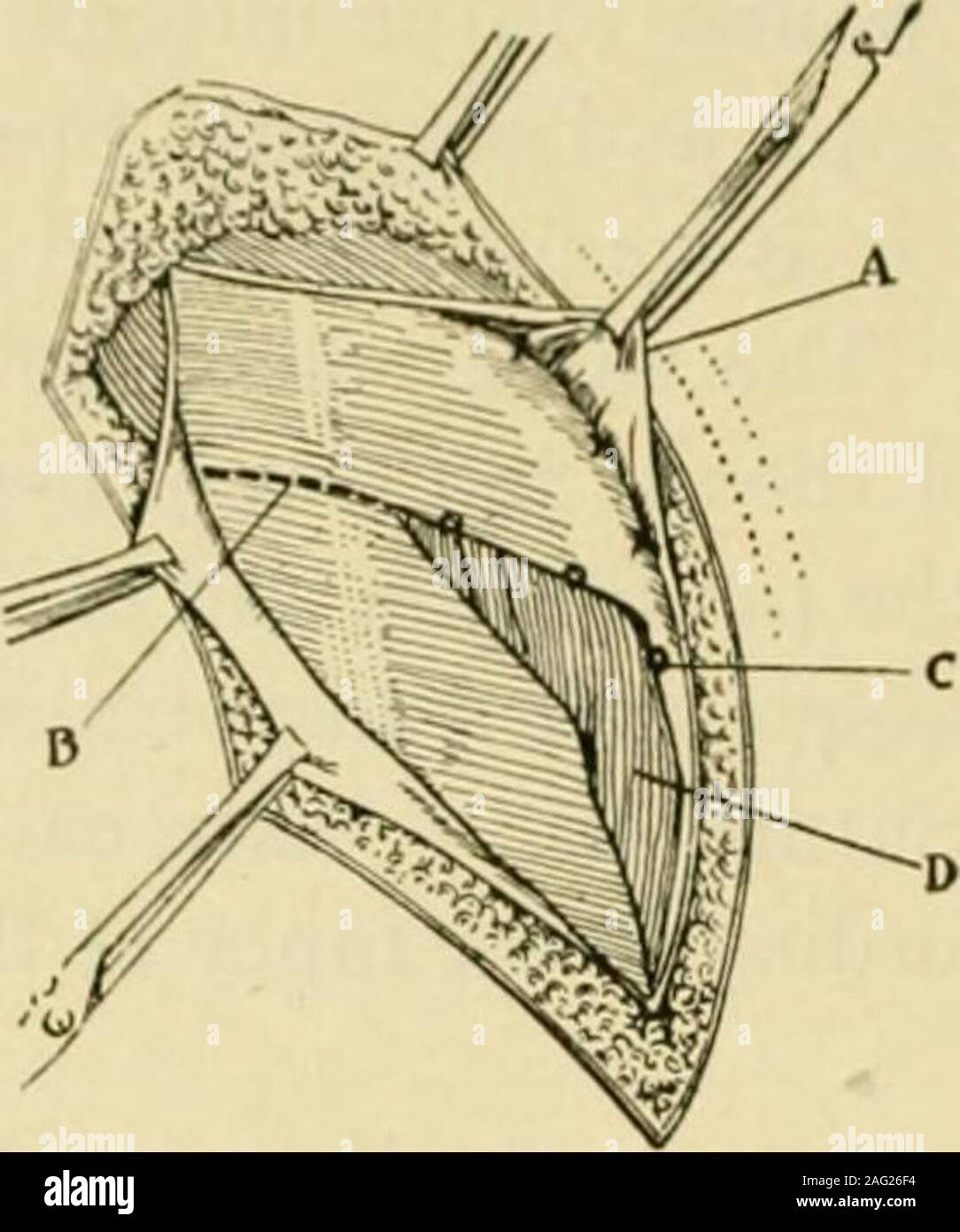 625 b hi-res stock photography and images - Alamy