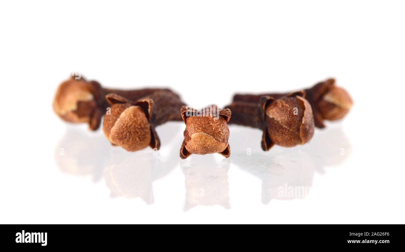 Cloves isolated on white background Stock Photo - Alamy