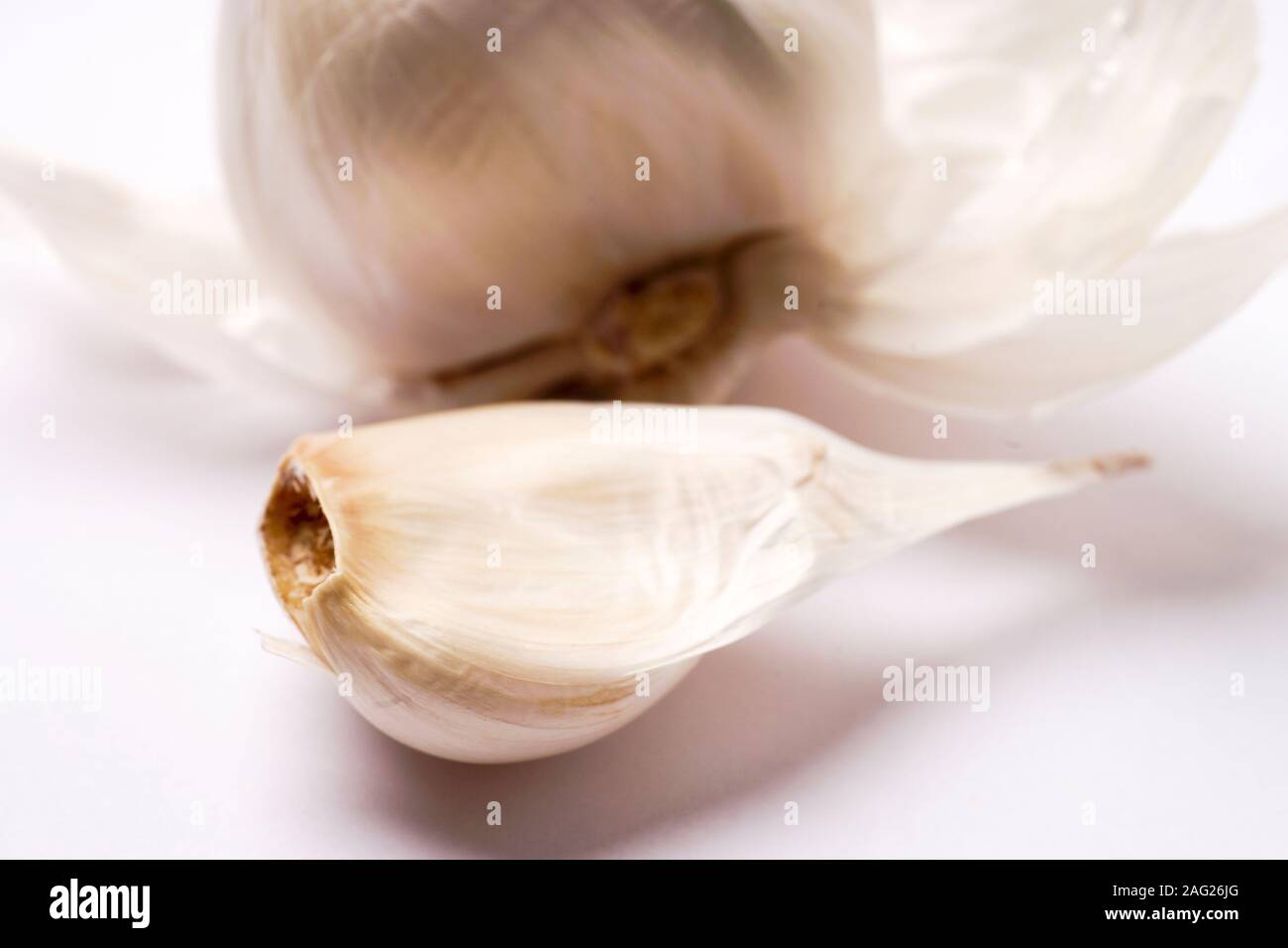 Garlic clove close up against white background Stock Photo - Alamy