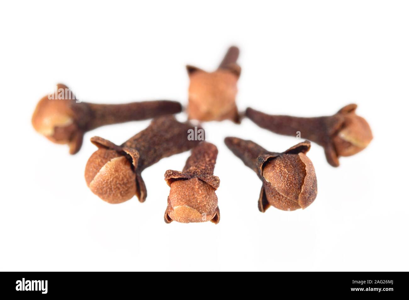 Cloves isolated on white background Stock Photo - Alamy