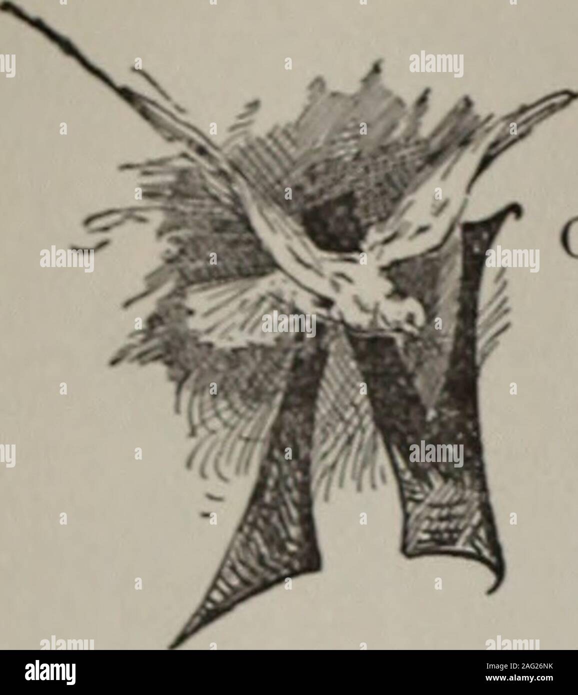 Ram's horn gold hi-res stock photography and images - Alamy